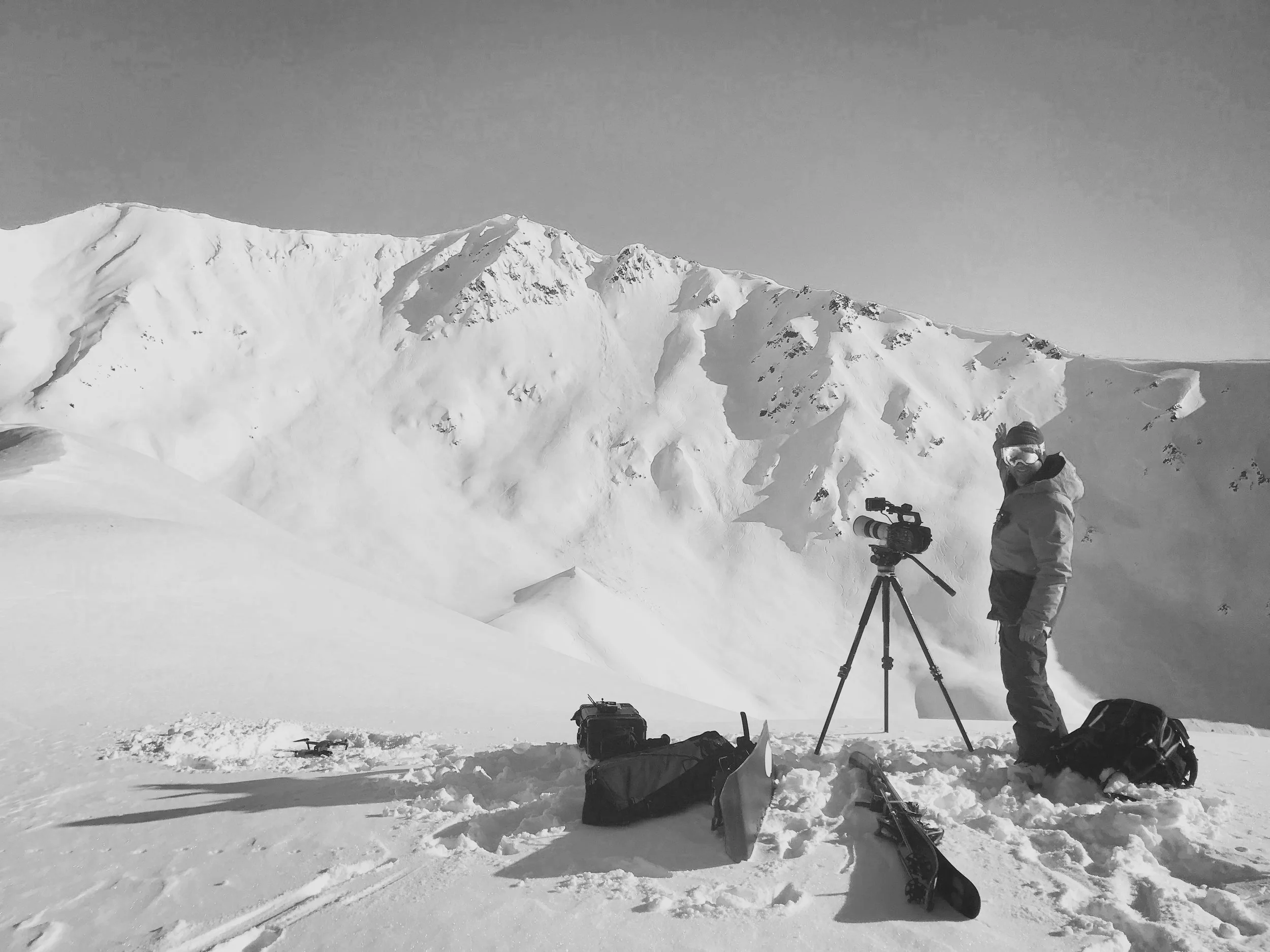 About — Treeline Cinematic