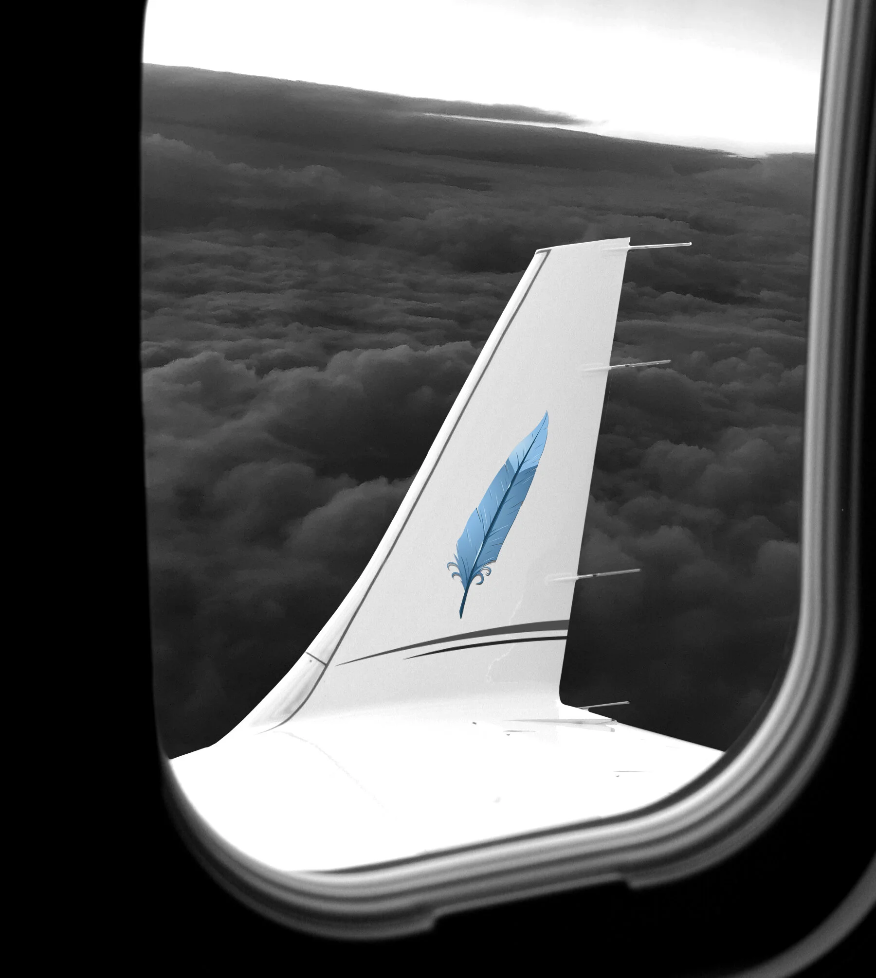 Aircraft Exterior Paint Schemes