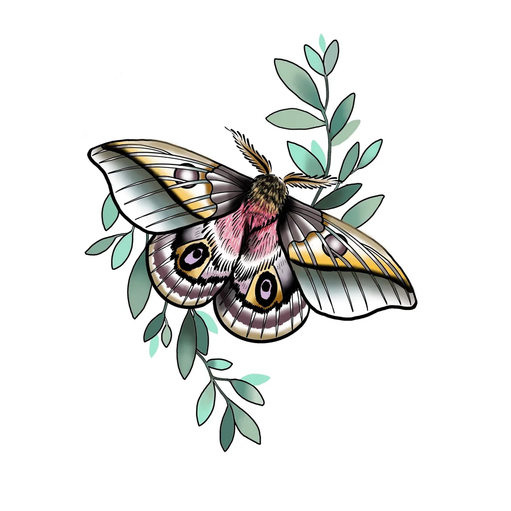 Traditional Moth Tattoo Flash