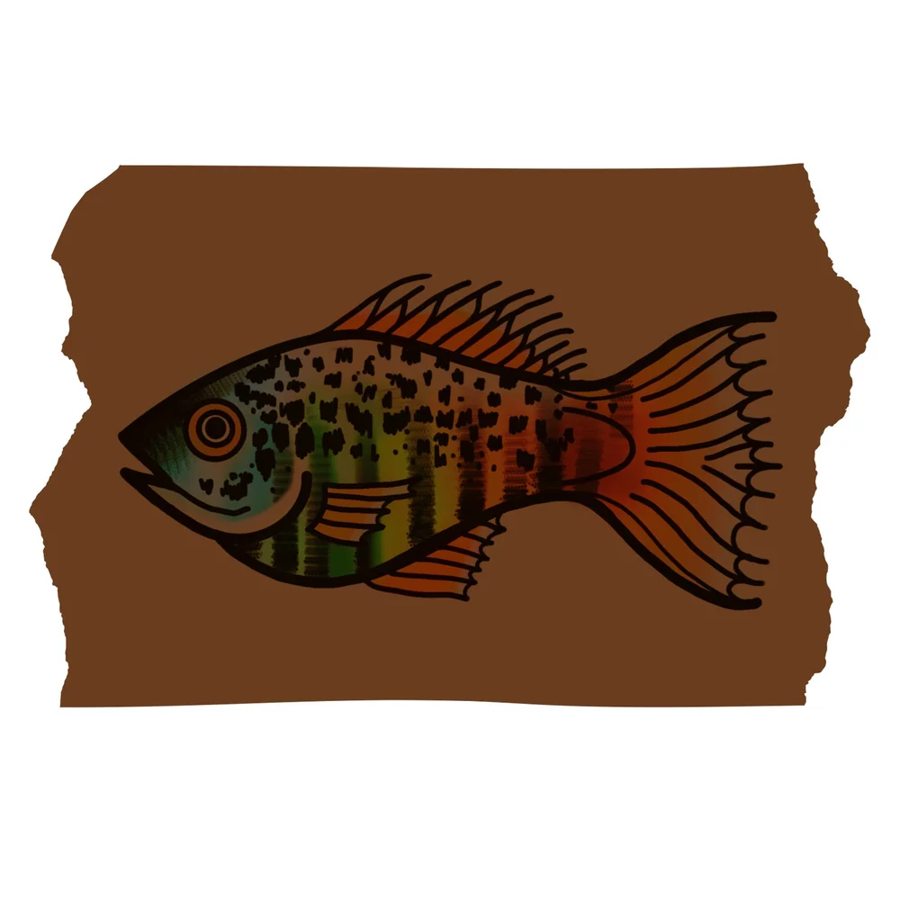 Traditional Fish Tattoo