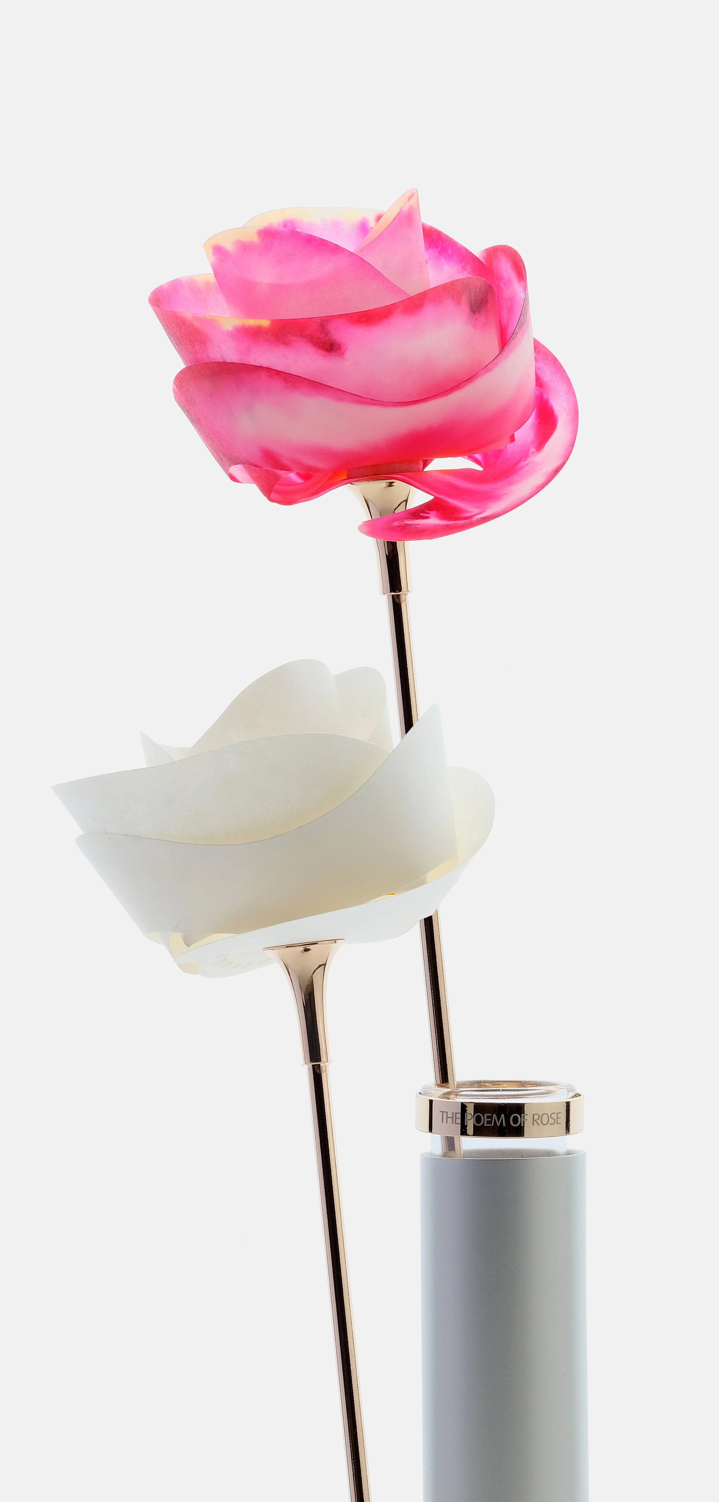 Blossom the poem of rose — MING DESIGN STUDIO