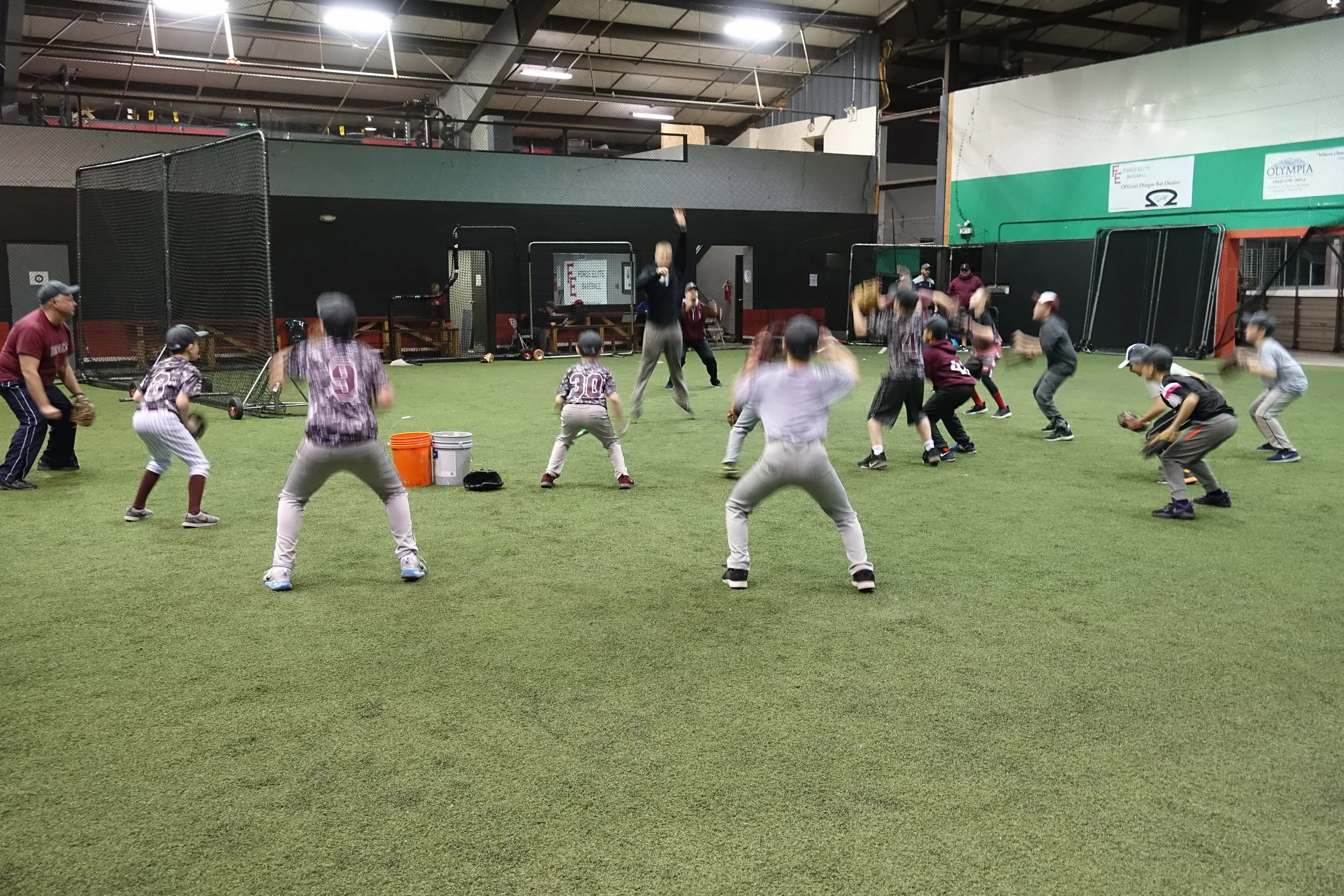 Force Elite Baseball