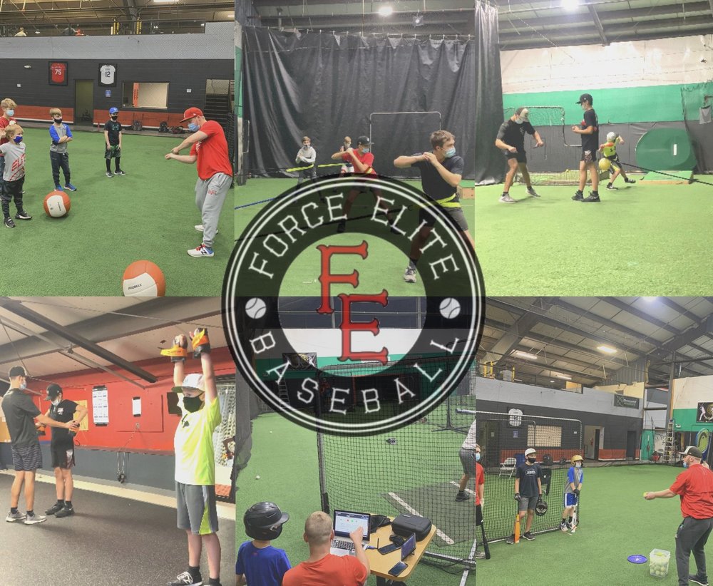 Force Elite Baseball