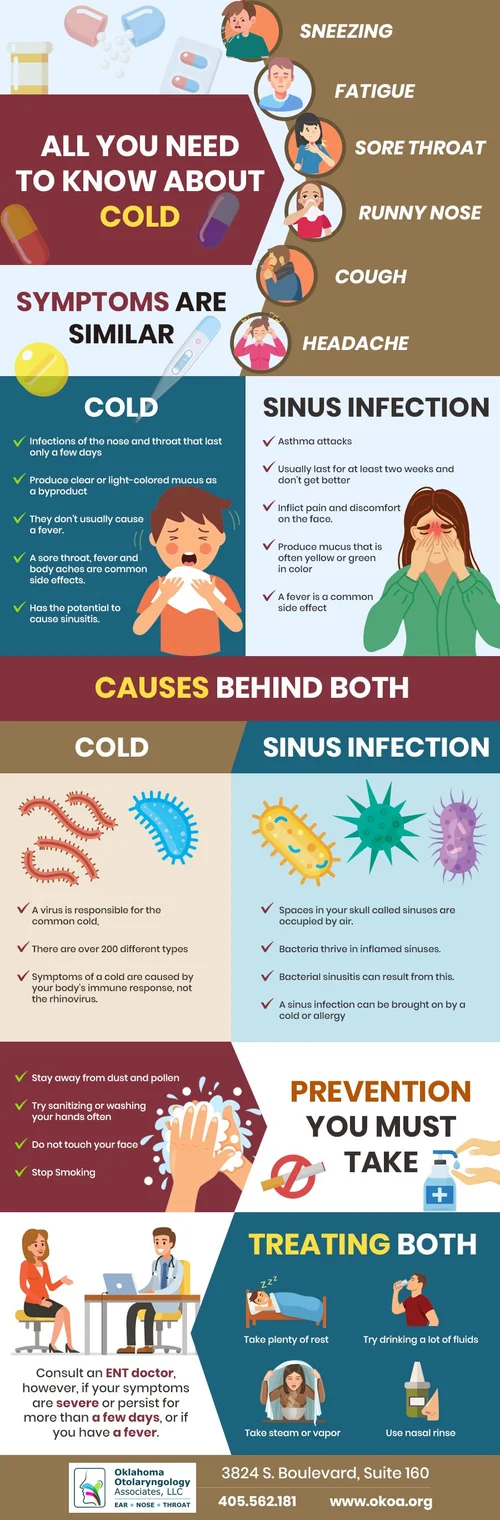 All You Need To Know About Cold