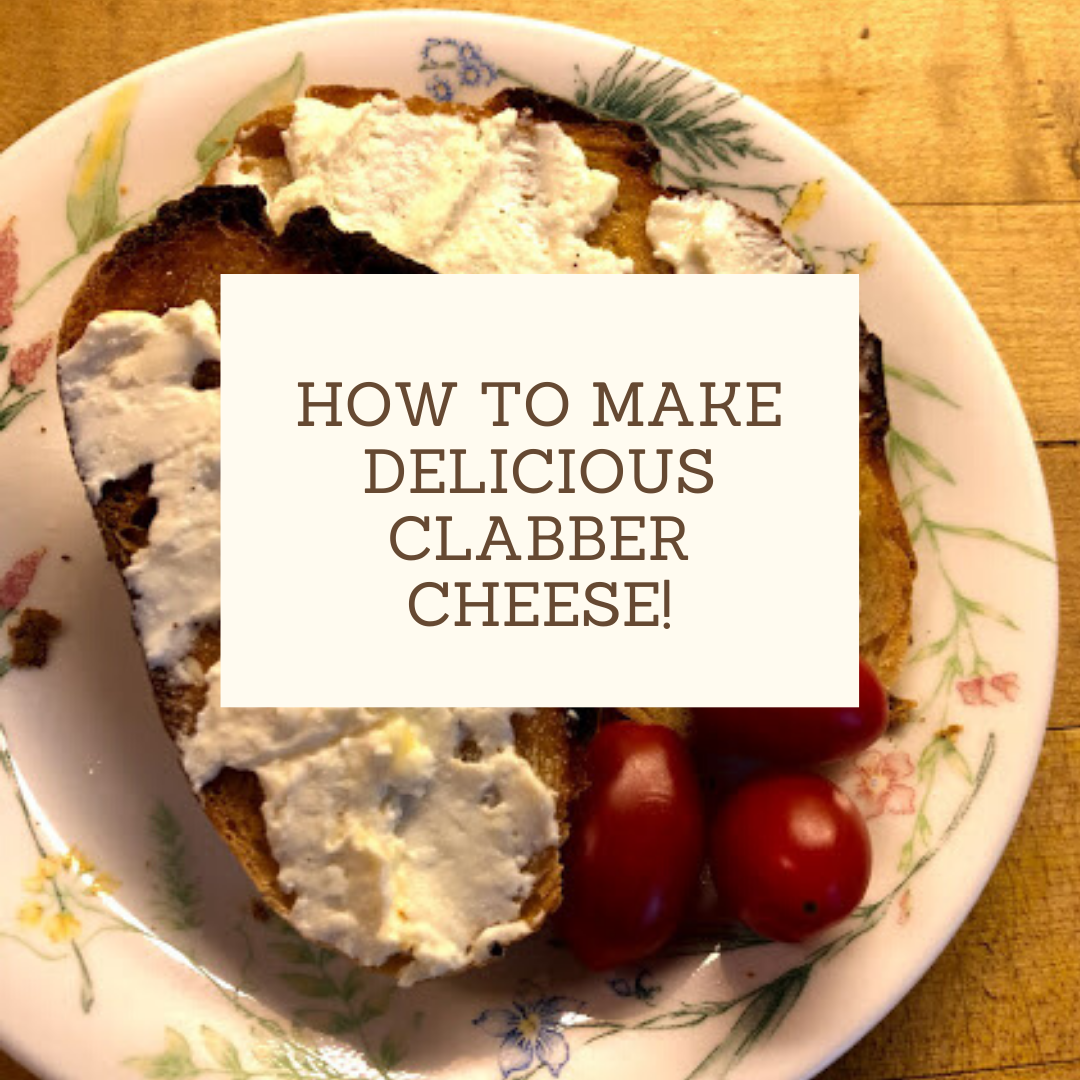 How to Make Delicious Clabber Cheese! — Six S Dairy