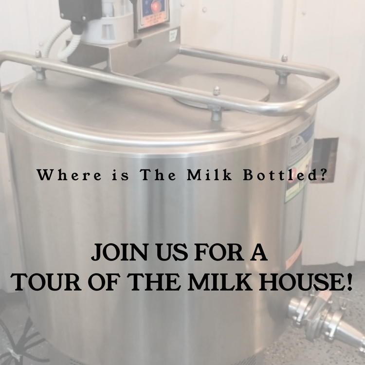 Get Raw Milk — Six S Dairy