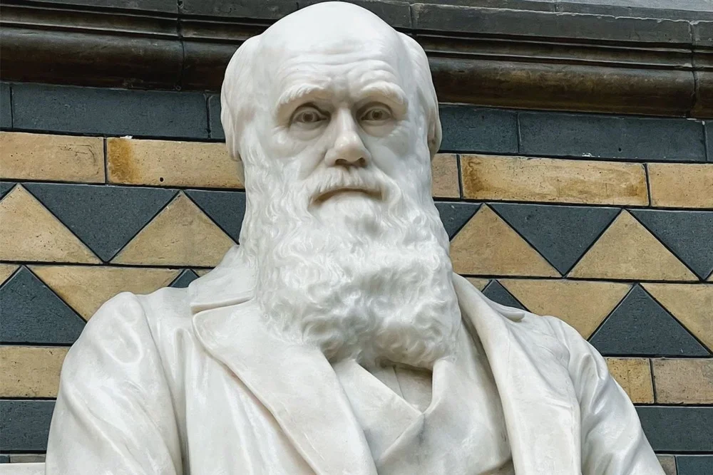 28 Incredible Examples of Critical Thinkers (Past and Present!) — What ...