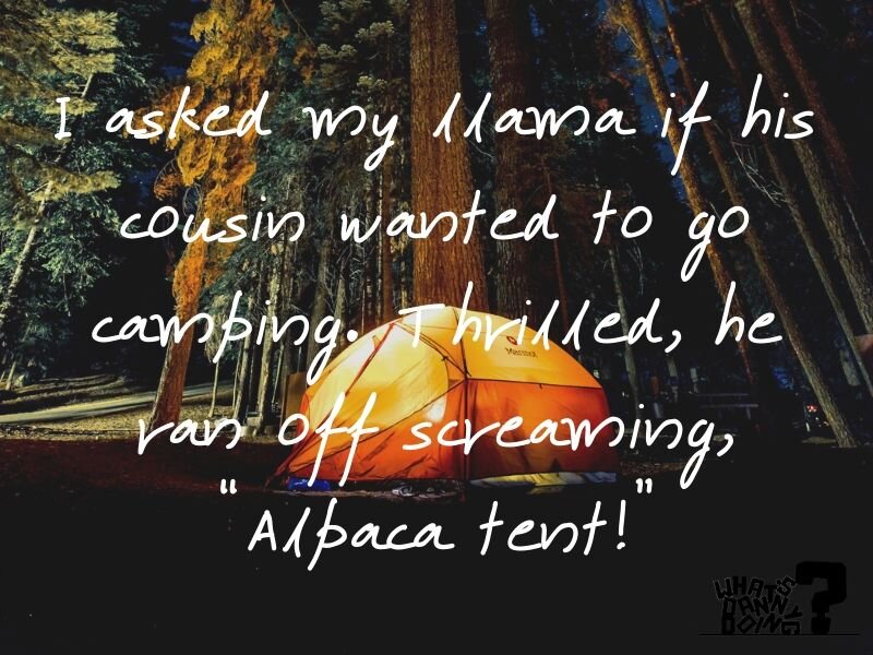 45 Best Jokes about Camping (Funny Camping Jokes for Dads!) — What's ...