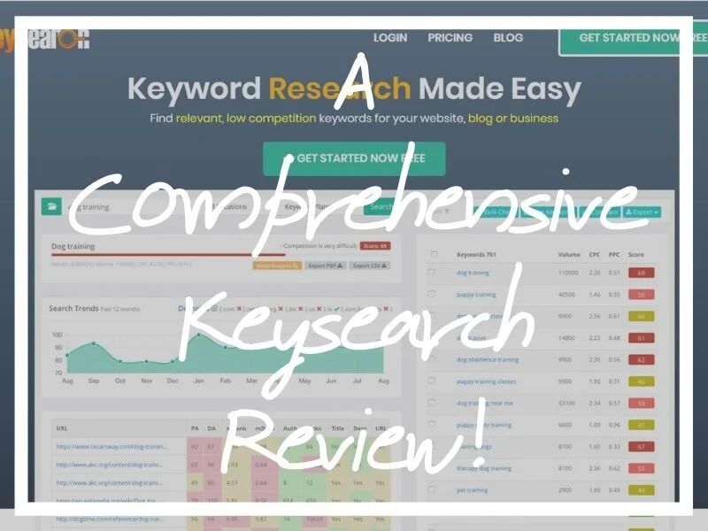 Comprehensive Keysearch Review 2020 | Price, Features, Pros & Cons ...