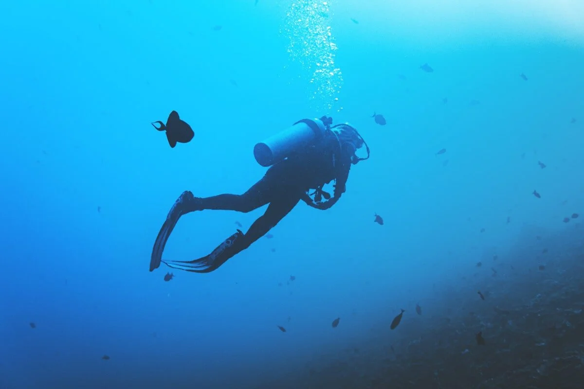 22 Best Jobs for Adventurers [2021 Adventurous Jobs List] — What's ...