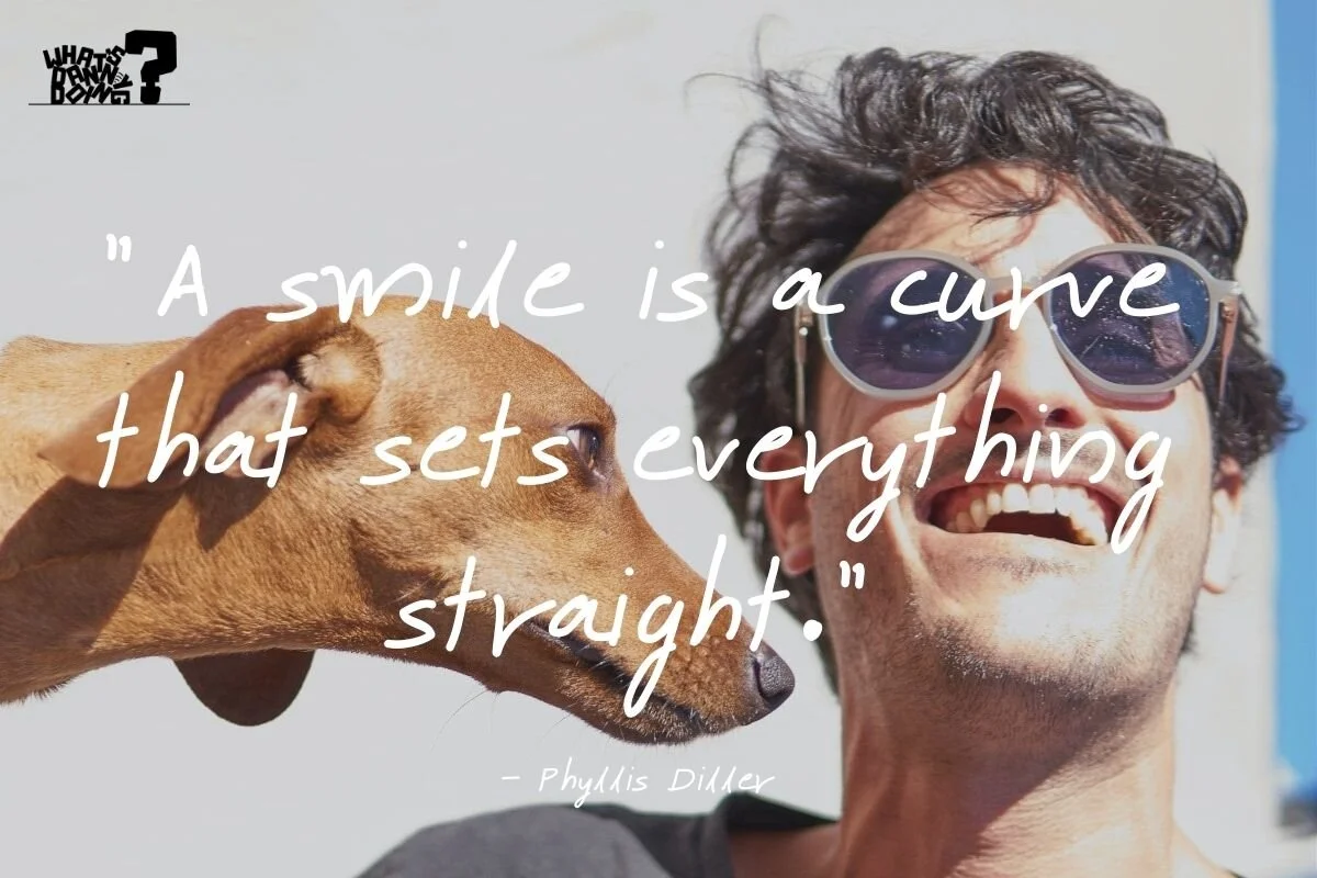 100 Quotes about Smiling Through Pain [Keep Smiling Quotes] — What's ...