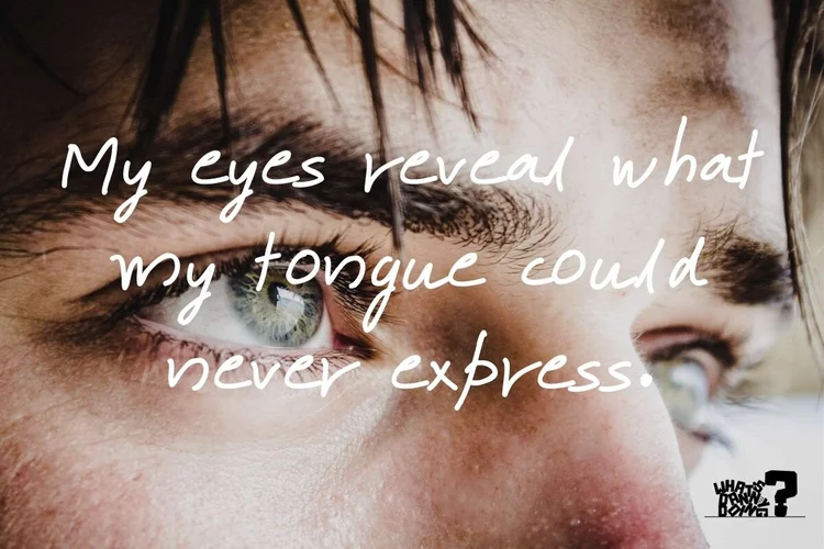 175 Epic Quotes & Captions about Eyes (Beautiful Eyes Quotes) — What's ...