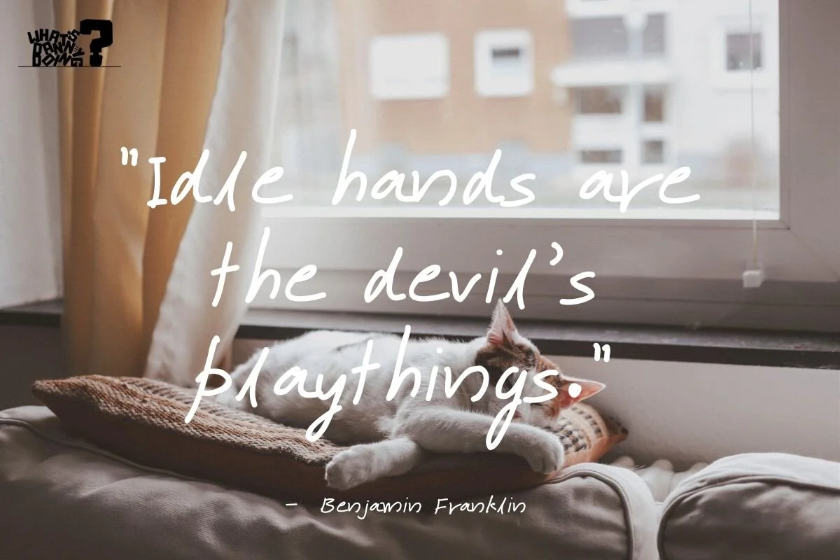 135 Best Quotes about Laziness to Inspire Action (Lazy Quotes List ...