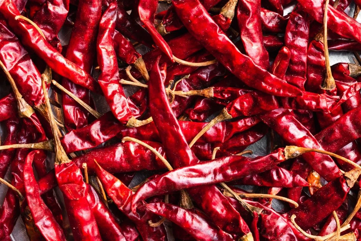 10 Hottest Chillies in the World! [Hottest Chilli Guide] — What's Danny ...