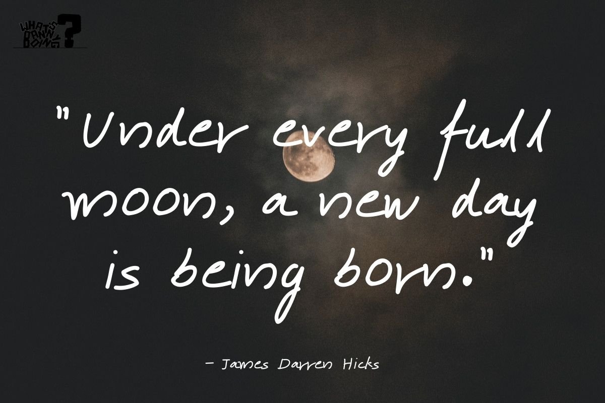 100 Unmissable Night Sky Quotes (2022 Quotes for the Night] — What's ...