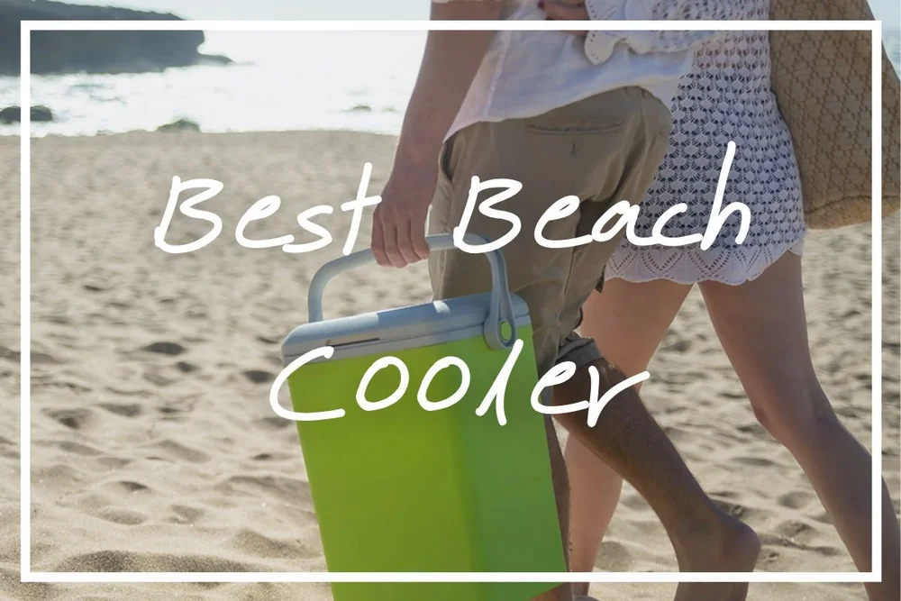 Top 12 Best Beach Cooler with Wheels and Without [2023 Buying Guide ...