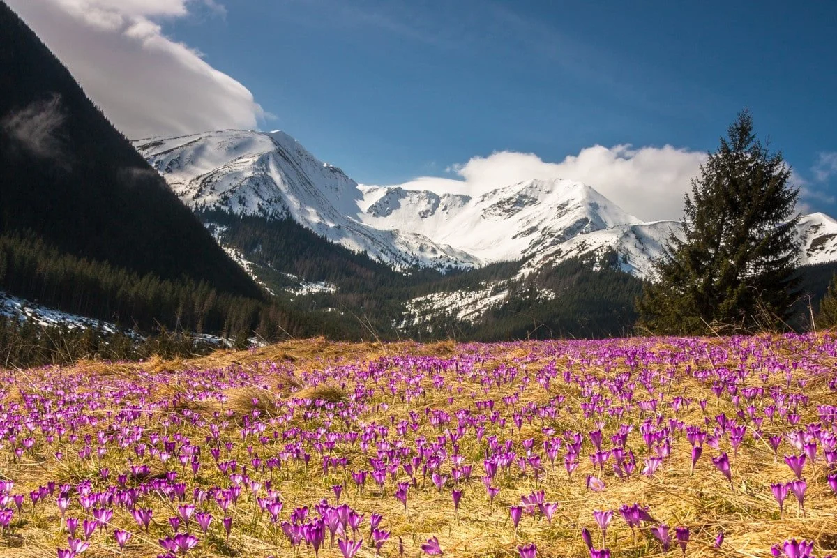 20 Coldest Countries in the World [2022 World’s Coldest Country] — What ...