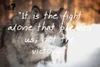 100 Epic Lone Wolf Quotes — What's Danny Doing?