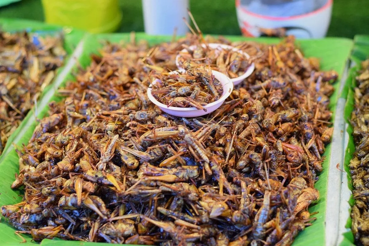 75 Unique, Strange, and Exotic Foods To Try While Travelling — What's ...