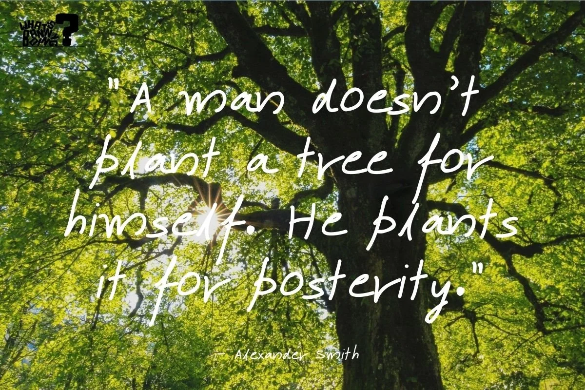 General Neted A Intari Tree Planting Quotes Durustraforsanat
