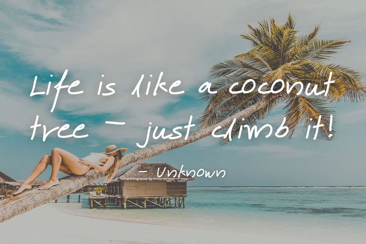 130 Perfect Palm Tree Quotes [Plus Palm Tree Captions!] — What's Danny ...