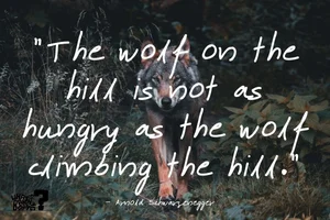 100 Epic Lone Wolf Quotes — What's Danny Doing?