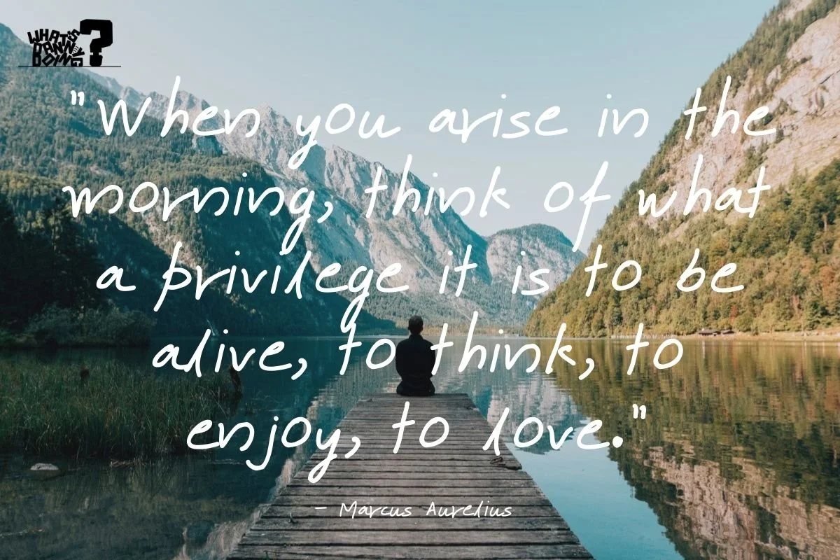 100 Super Inspiring Strength from Within Quotes — What's Danny Doing?