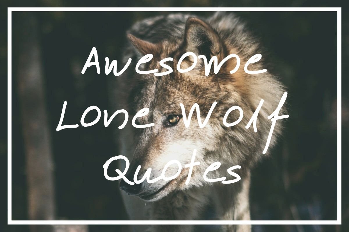 100 Epic Lone Wolf Quotes — What's Danny Doing?