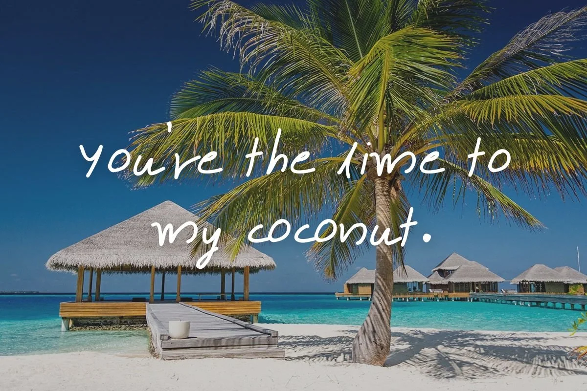 130 Perfect Palm Tree Quotes [Plus Palm Tree Captions!] — What's Danny ...