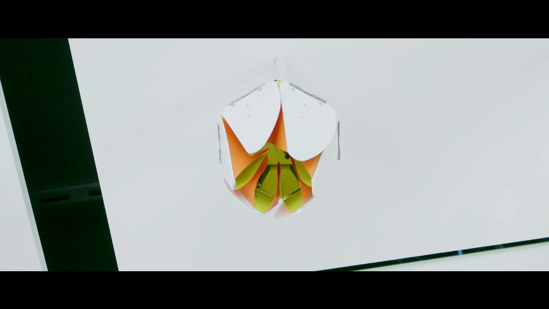 Deeplocal – Google Flowers