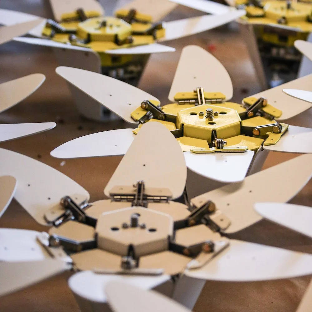 Deeplocal – Google Flowers