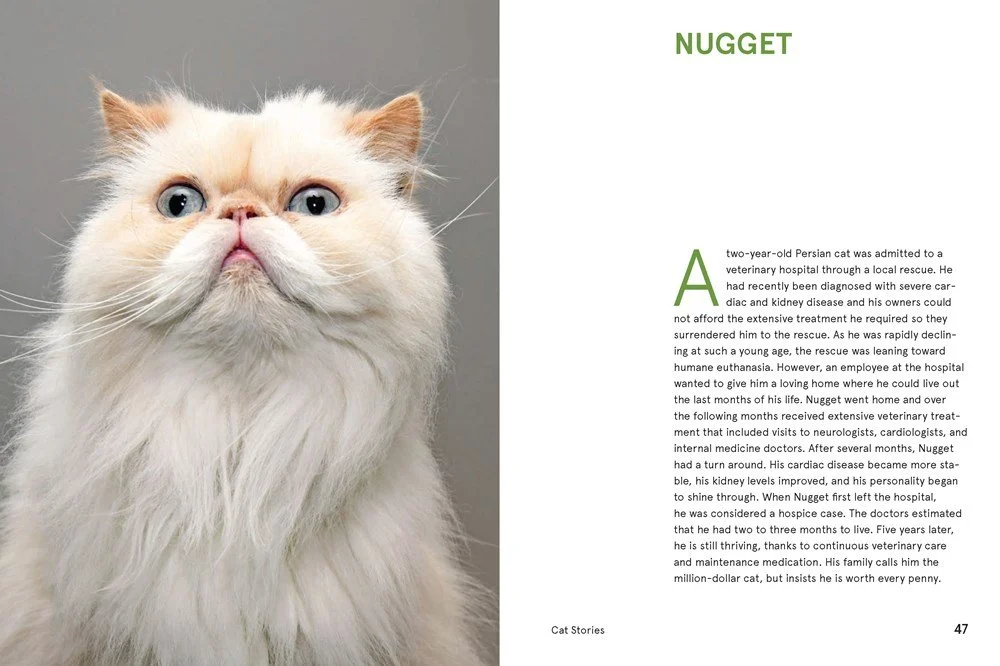 Events — ink fish books