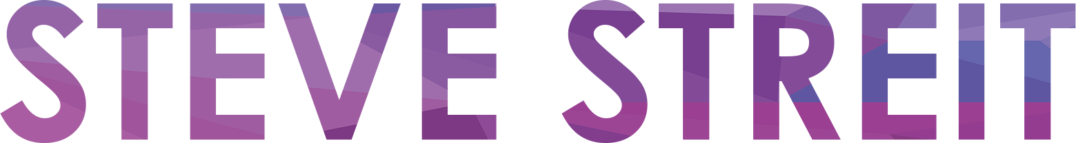 Steve Streit Bio — SWS Venture Capital