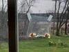 At Home Activity: Window Garden — Chicago Children's Museum
