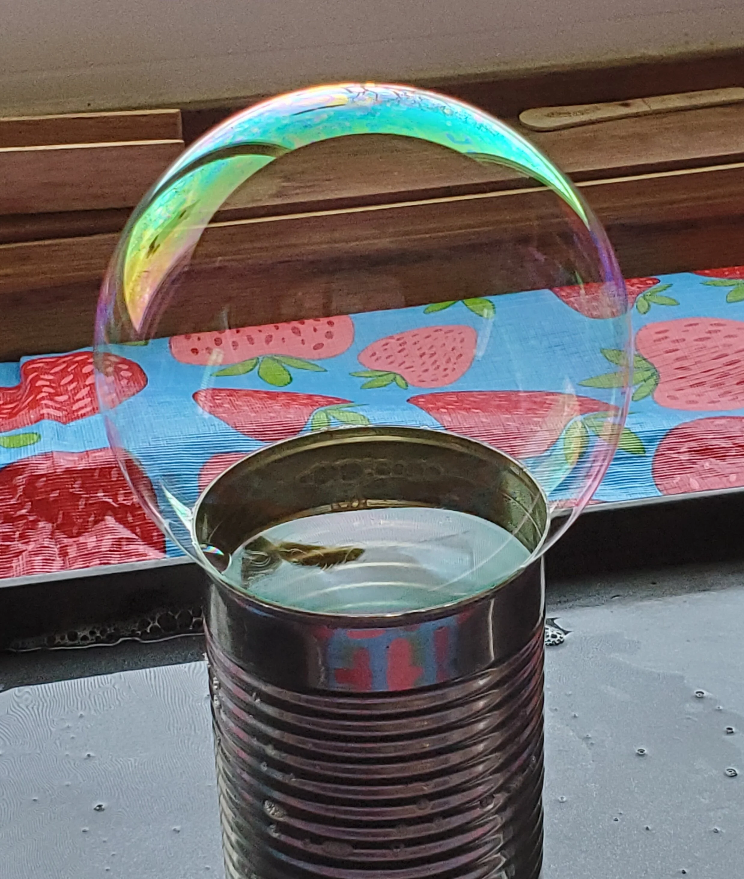 At Home Activity: Tabletop Bubbleologist — Chicago Children's Museum