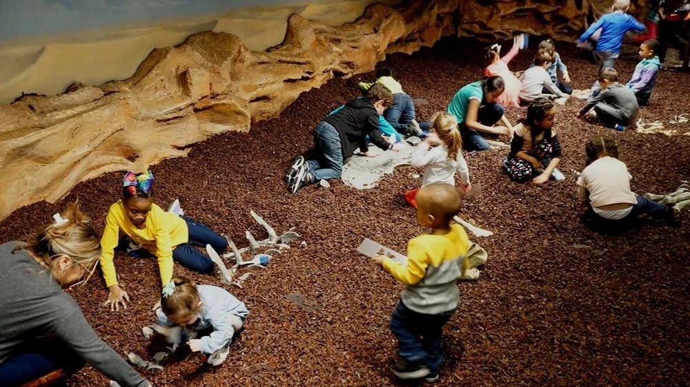 Exhibits — Chicago Children's Museum