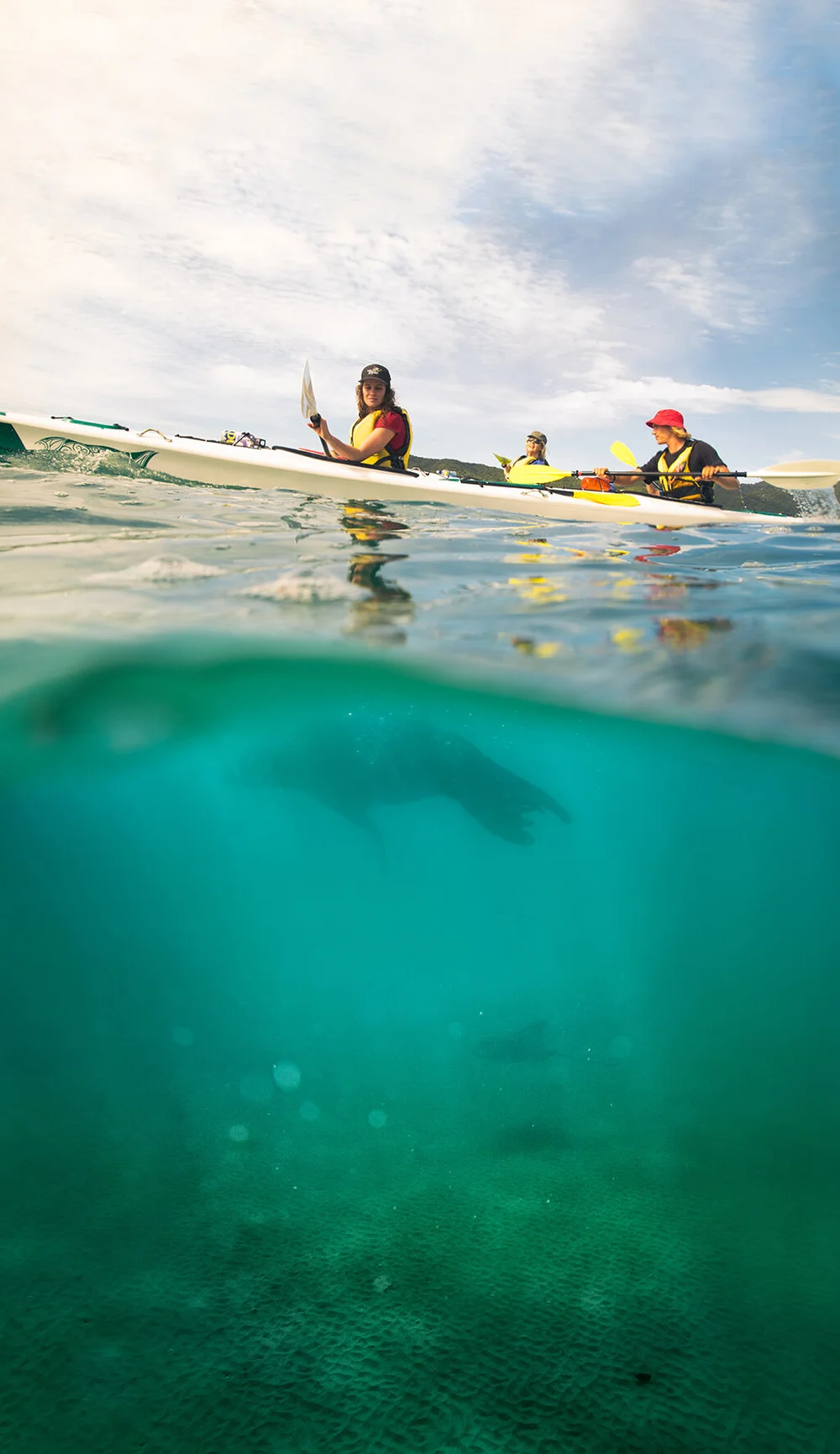 Guided kayak Tour Options — Golden Bay Kayaks