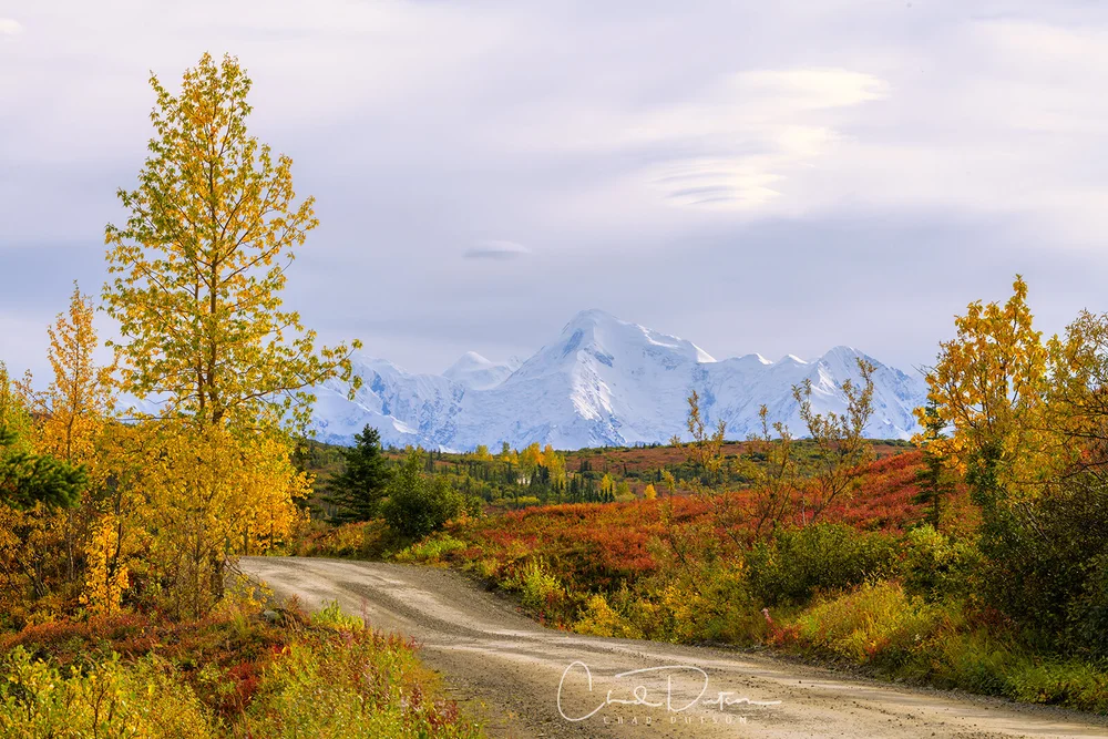 Fall in Denali Workshop — Wilderness Photo Workshops