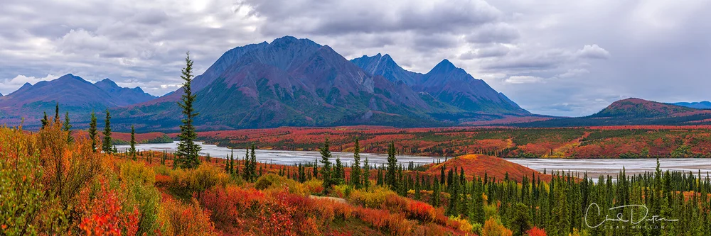 Fall in Denali Workshop — Wilderness Photo Workshops