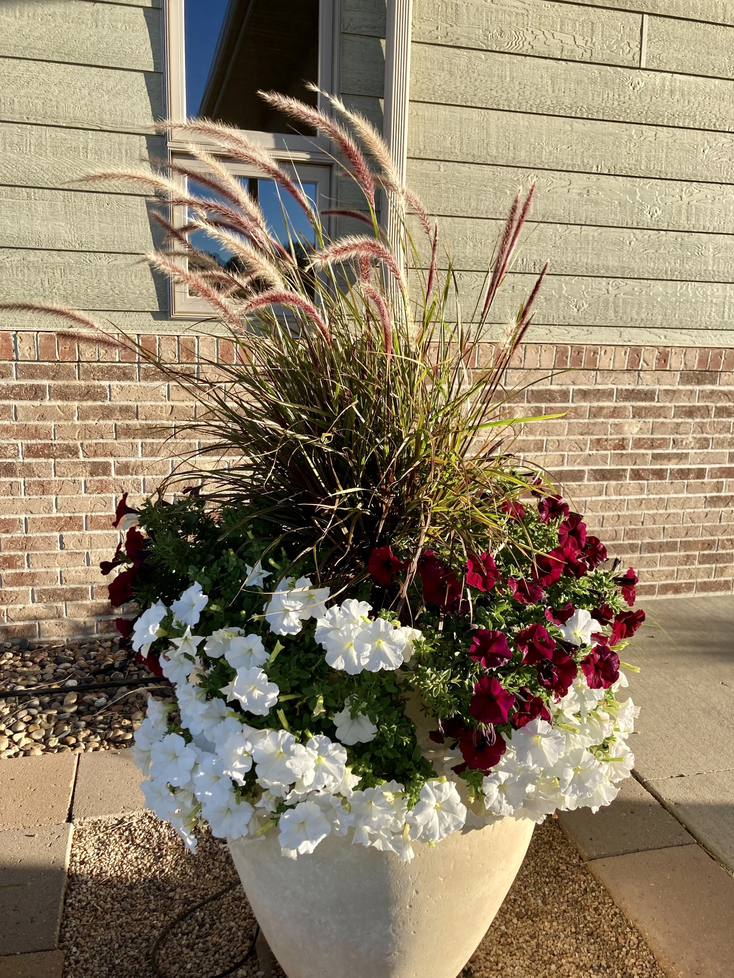 Mollified Clipart Of Flowers