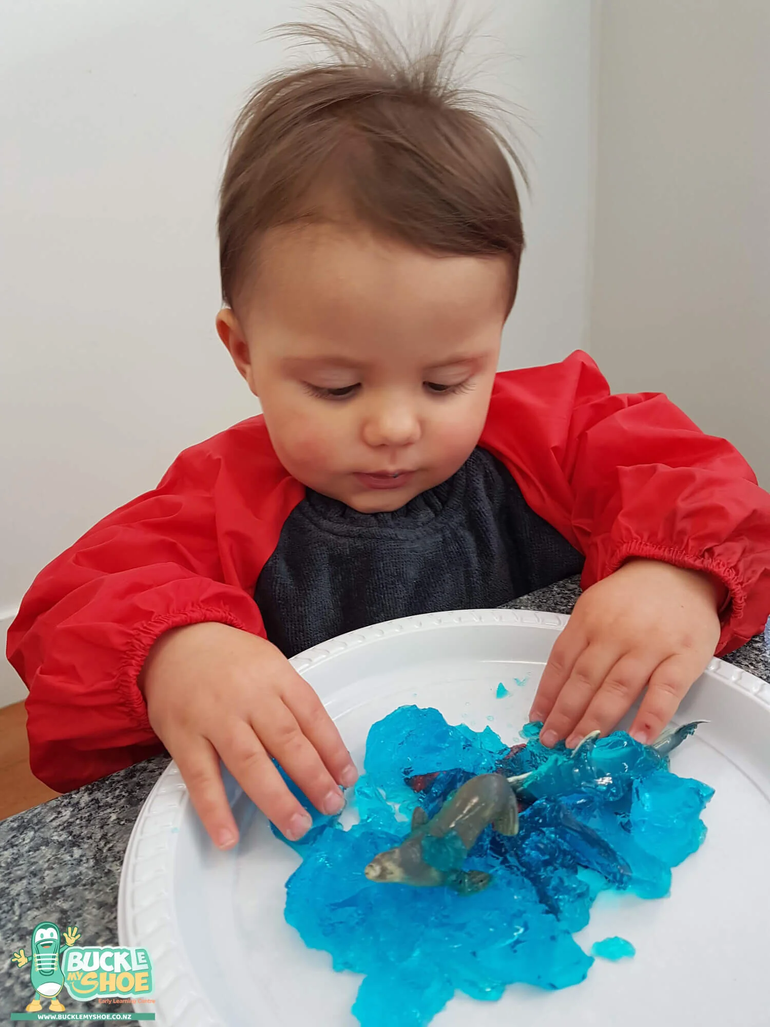 “Under the Sea” Sensory Fun! — Buckle My Shoe Early Learning Centre ...