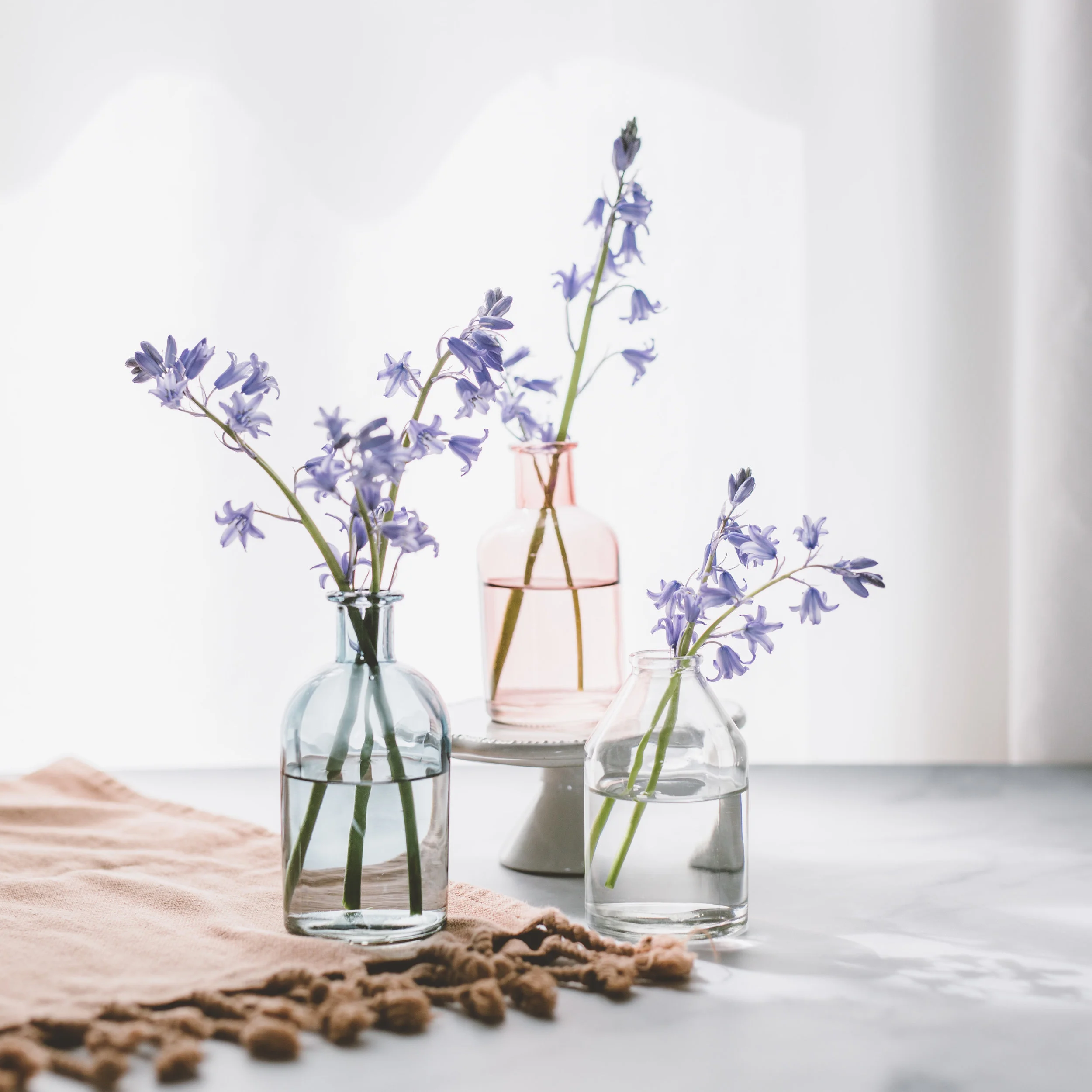Brand Photography Composition Tip Rule Of Odds Effie Gurmeza