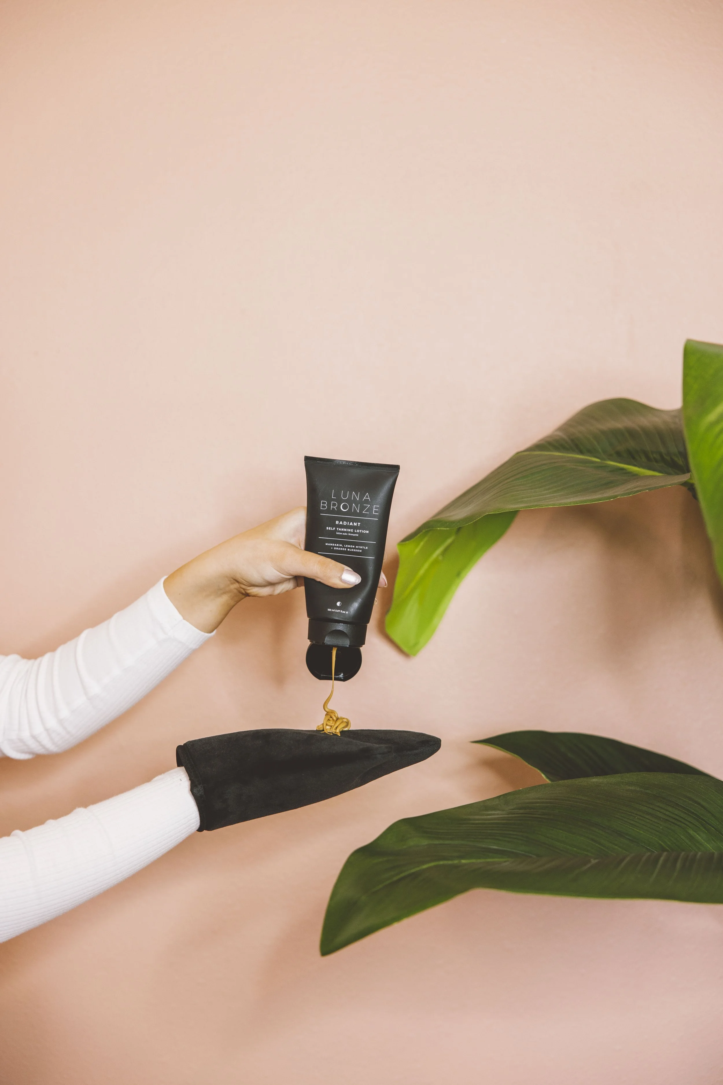 Portfolio — Effie Gurmeza