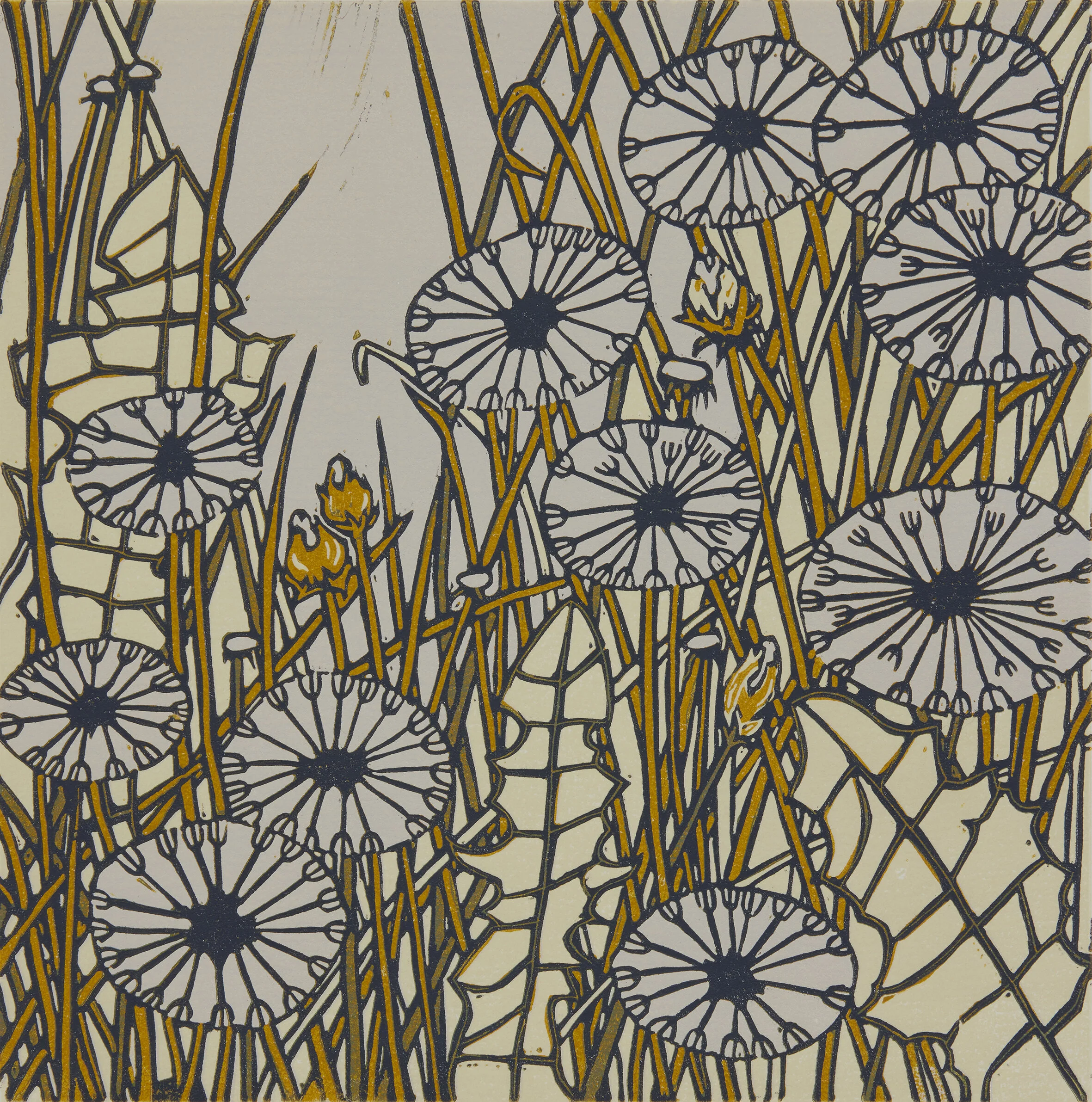 MY WORK — RACHEL KNOWLES ARTIST