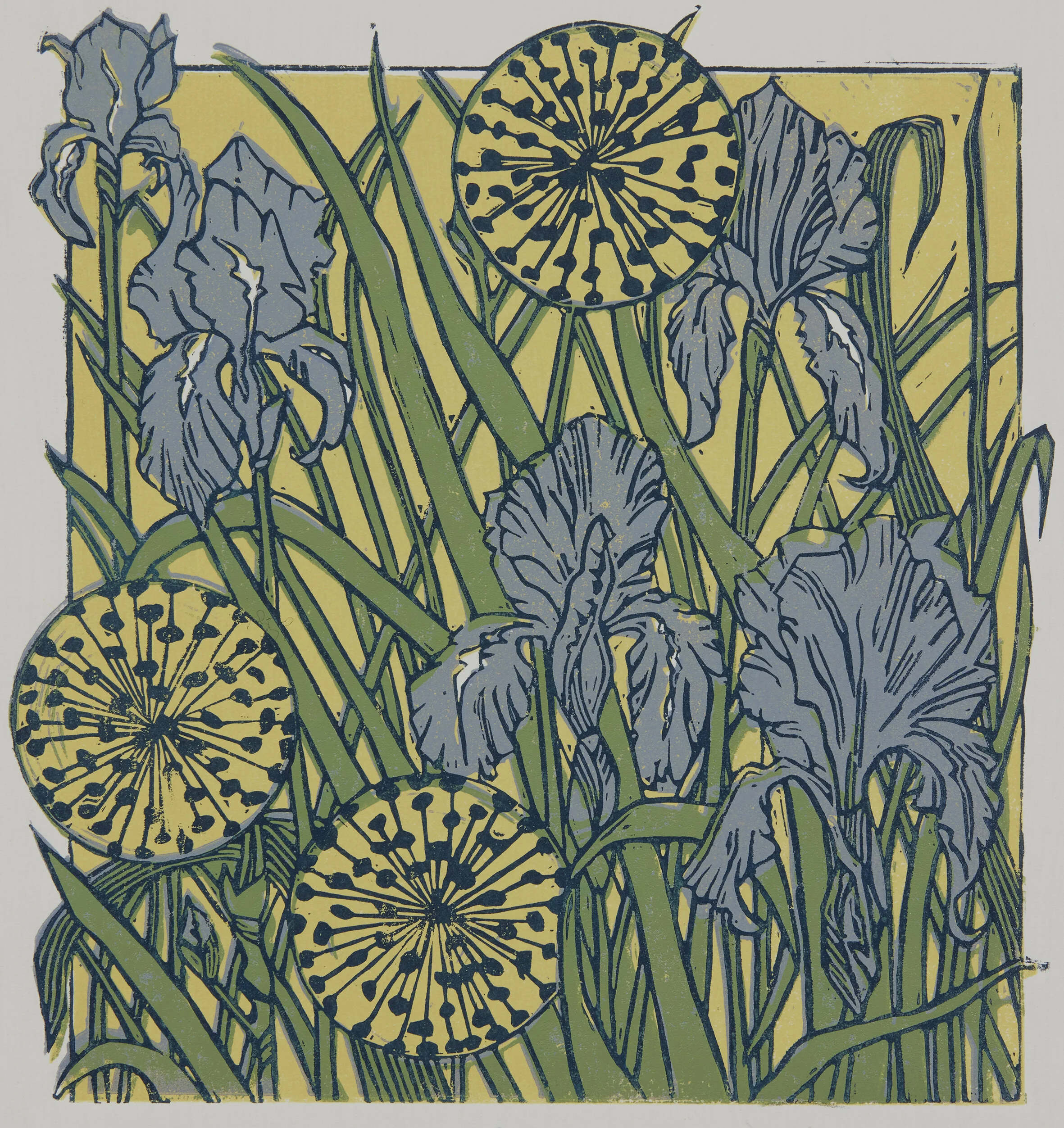 MY WORK — RACHEL KNOWLES ARTIST