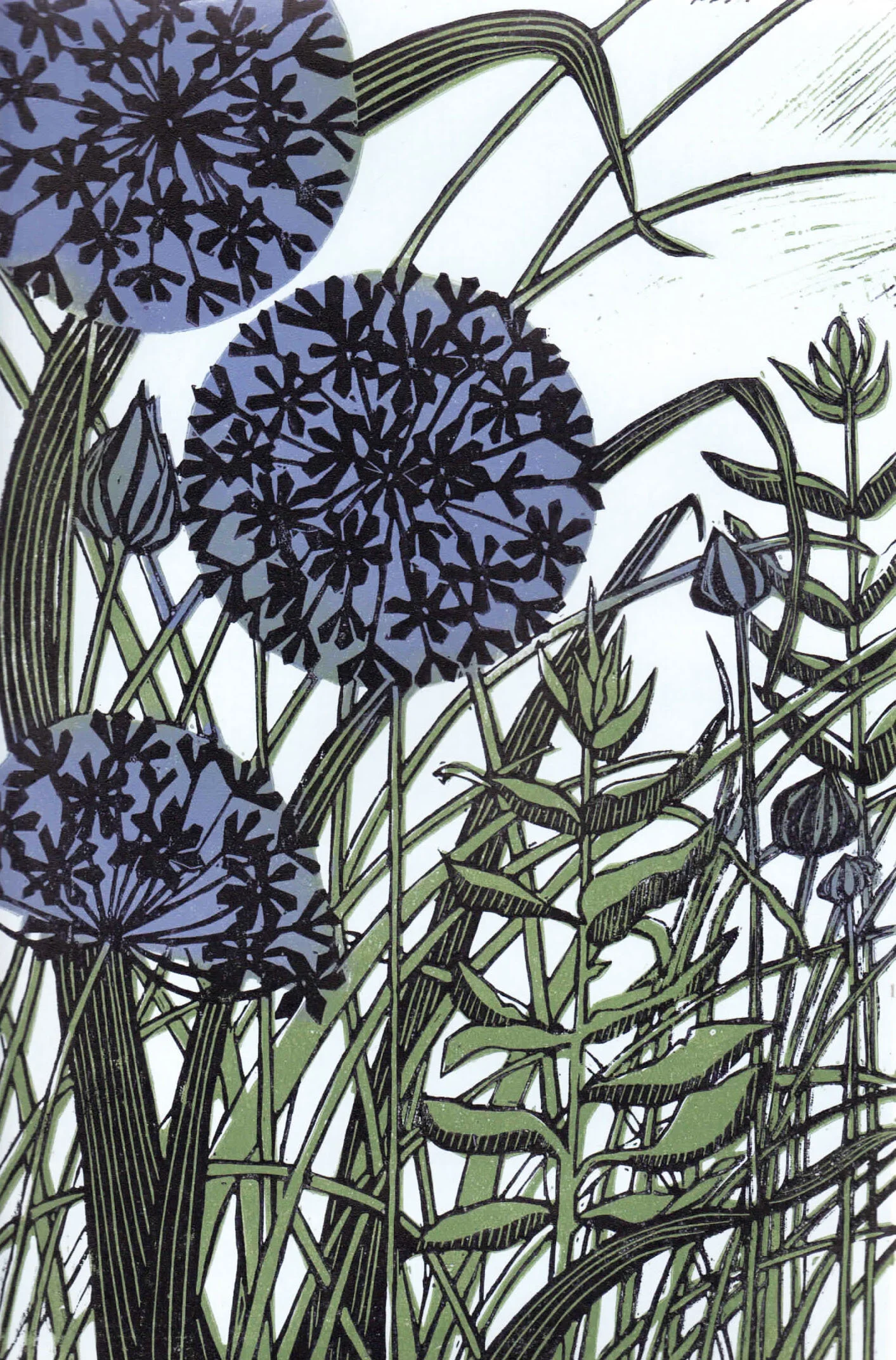 MY WORK — RACHEL KNOWLES ARTIST