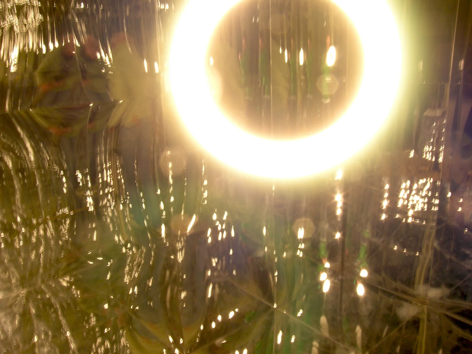 Light Artist and Expert in Light Art Installations for Contemporary ...