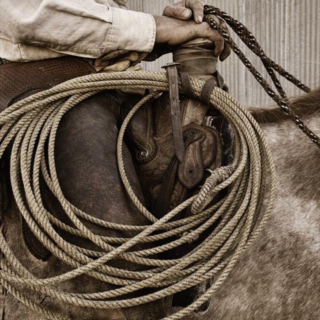 About — Shaniko Wool Co.