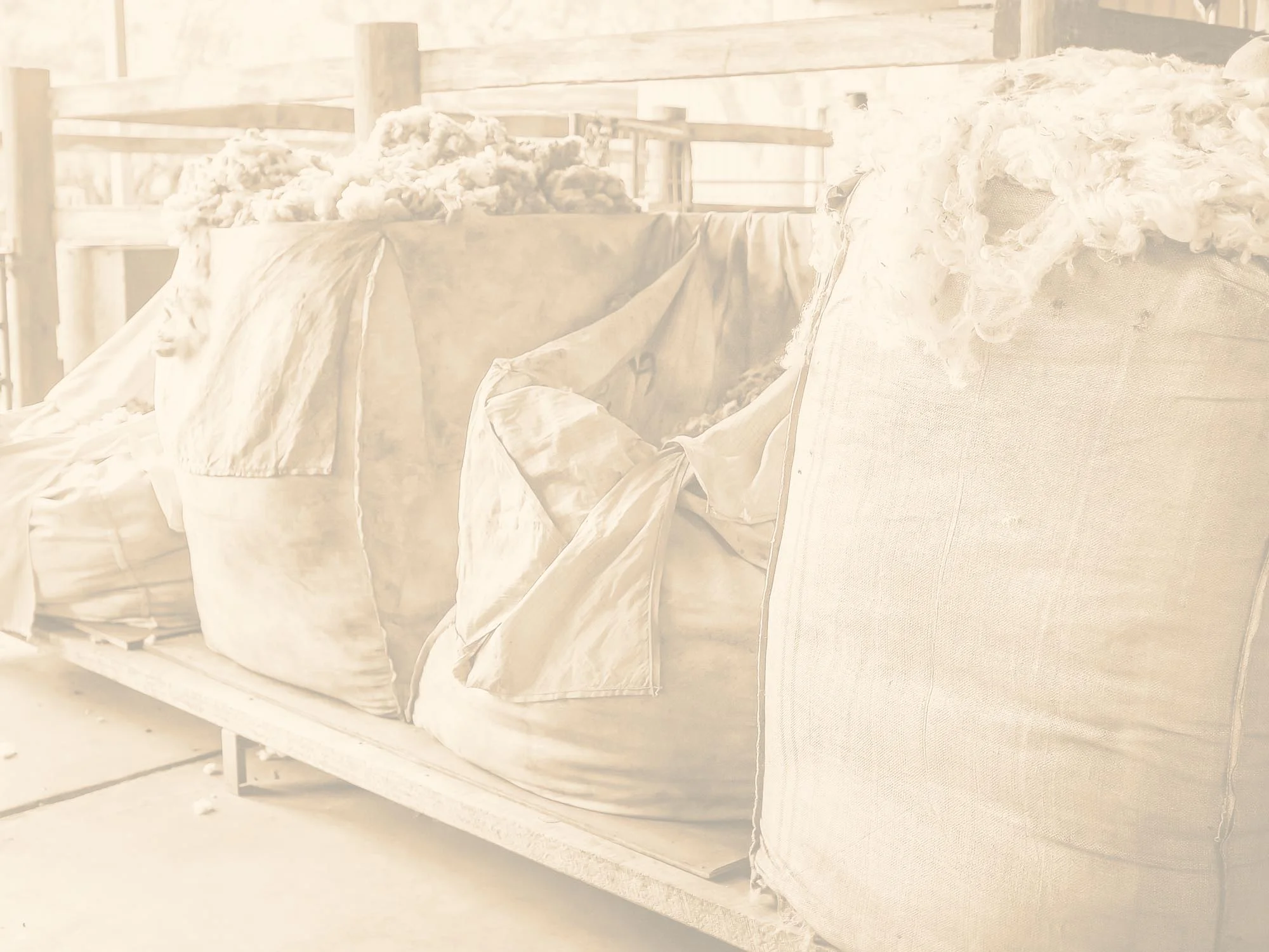 About — Shaniko Wool Co.