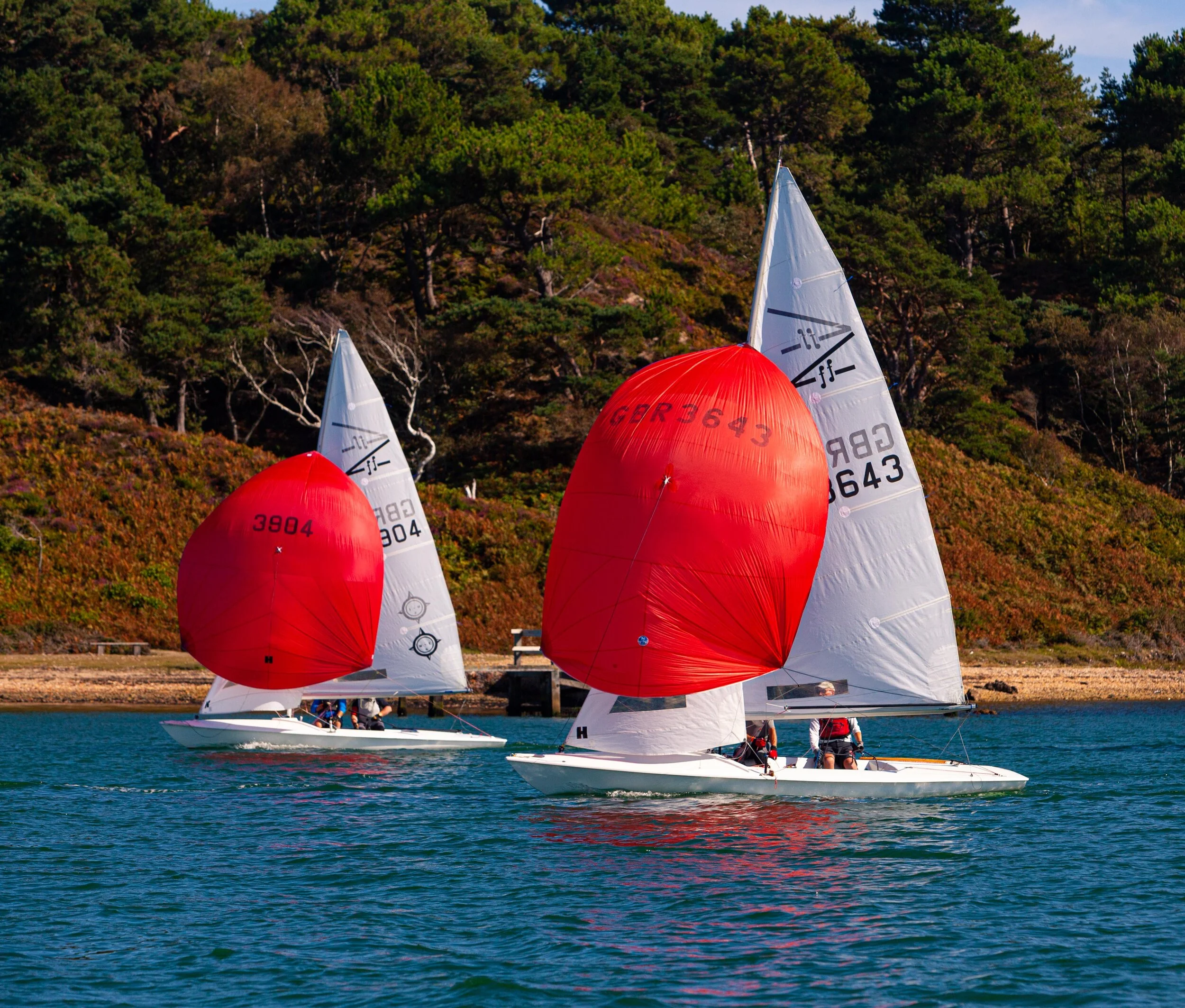 Gallery — Poole Week 2024